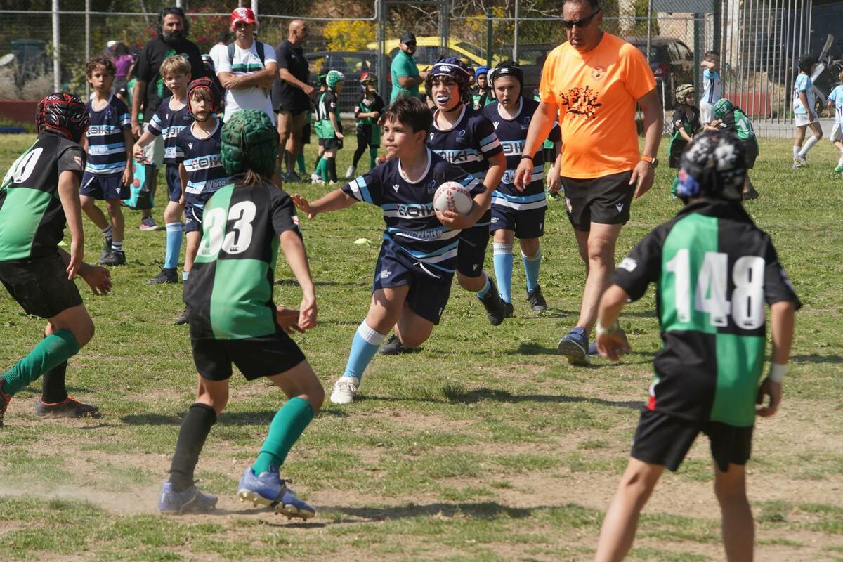 Torneo Pino Valle, grande festa del minirugby a Imperia: 300 ragazzi ...