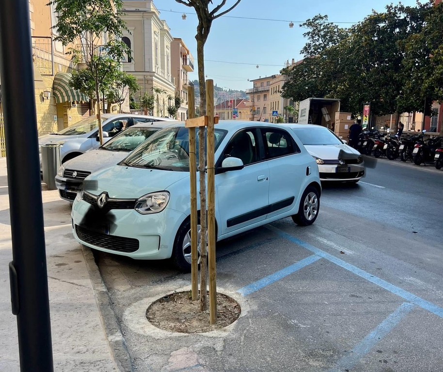 Ad Imperia spuntano gli stalli blu con gli alberelli, ma l’assessora D ...